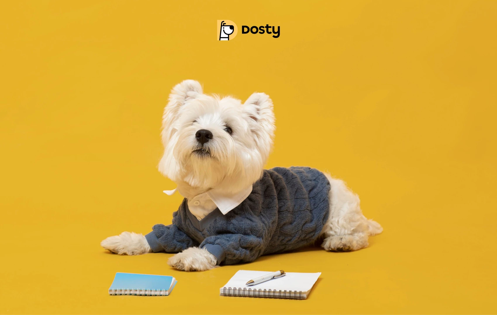 Calculate Dog Years to Human Years: The New Dog Age Formula | Dosty
